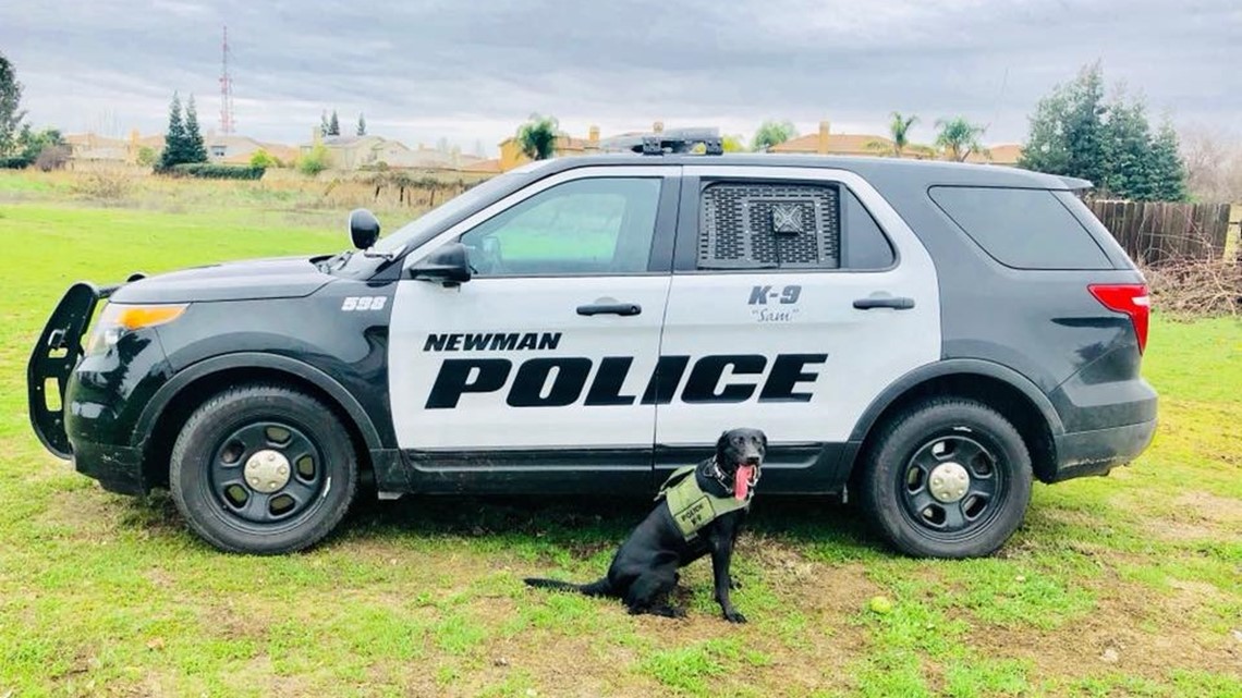 Late Newman Police Cpl. Singh's K9 to retire, will remain with family ...