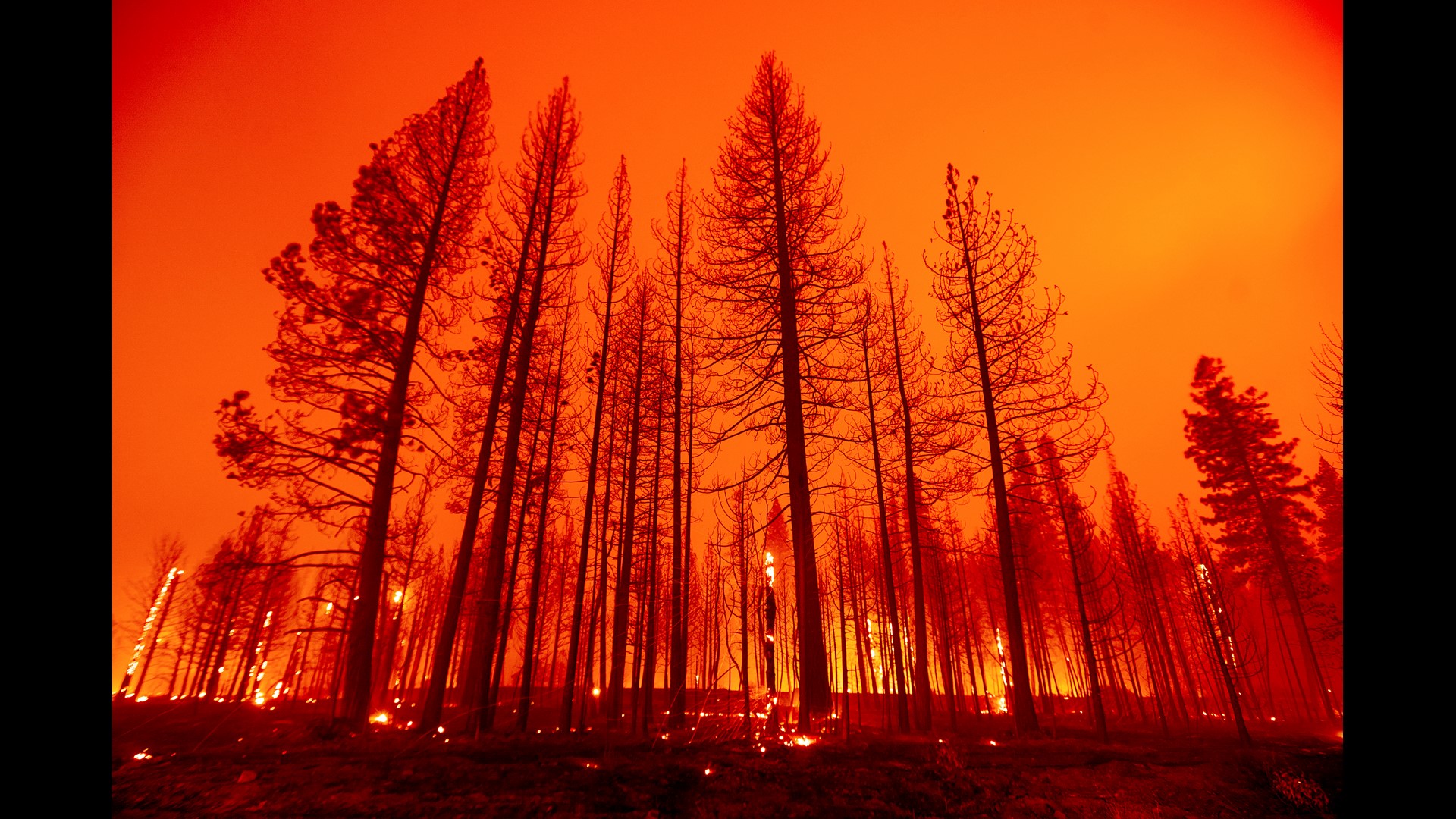 PG&E sued over 2021 Dixie Fire damage | abc10.com