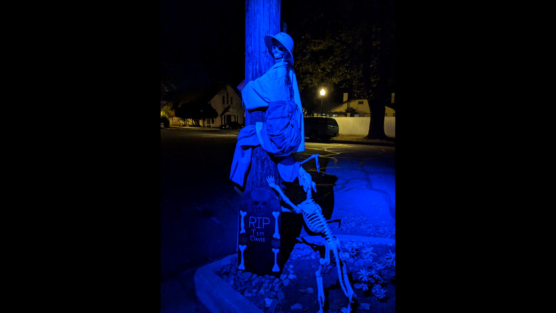 Oak Park 'Halloween House' dedicated to beloved postal clerk | abc10.com