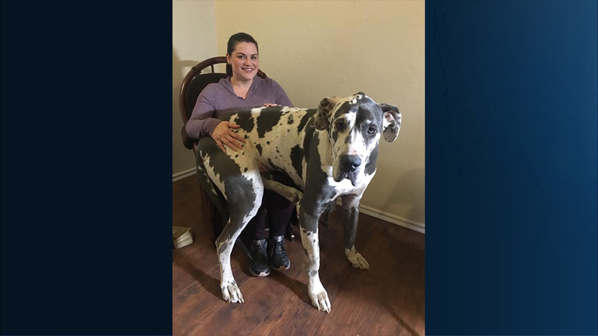 Lifelong Concow resident captures video of Camp Fire in its infancy ...