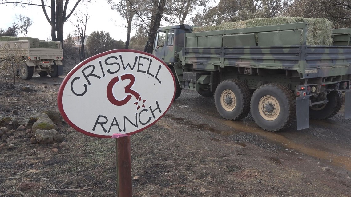 Crews deliver tons of animal food to Camp Fire evacuation zones | abc10.com