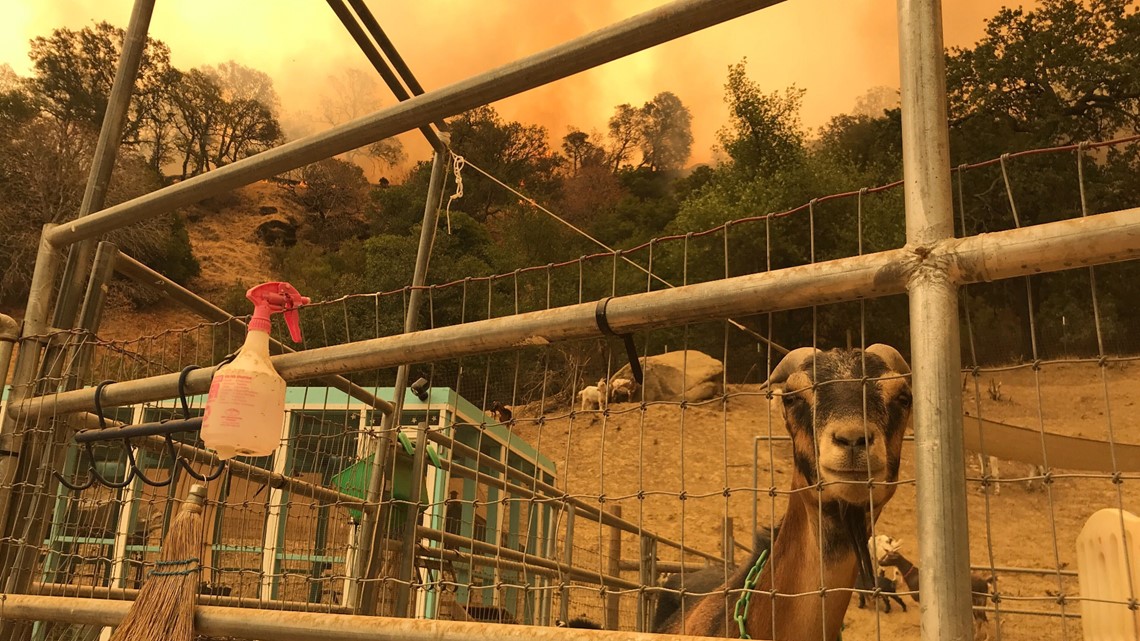 LNU Lightning Complex Fire | Sights & Sounds from the ground | abc10.com