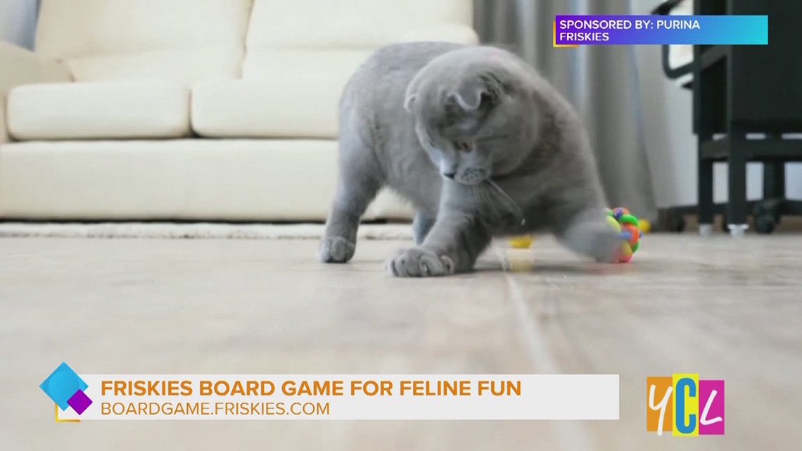Celebrating Feline Fun with the Purr-fect Game | Sponsored | abc10.com
