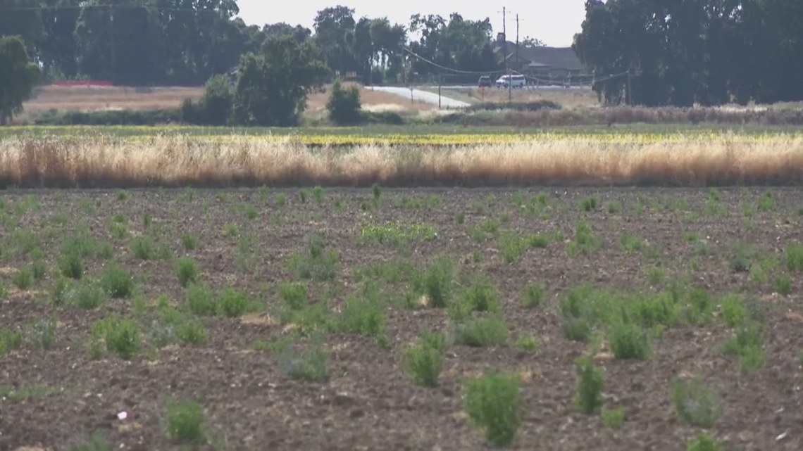 Sacramento County approves Upper Westside project, clearing way for ...