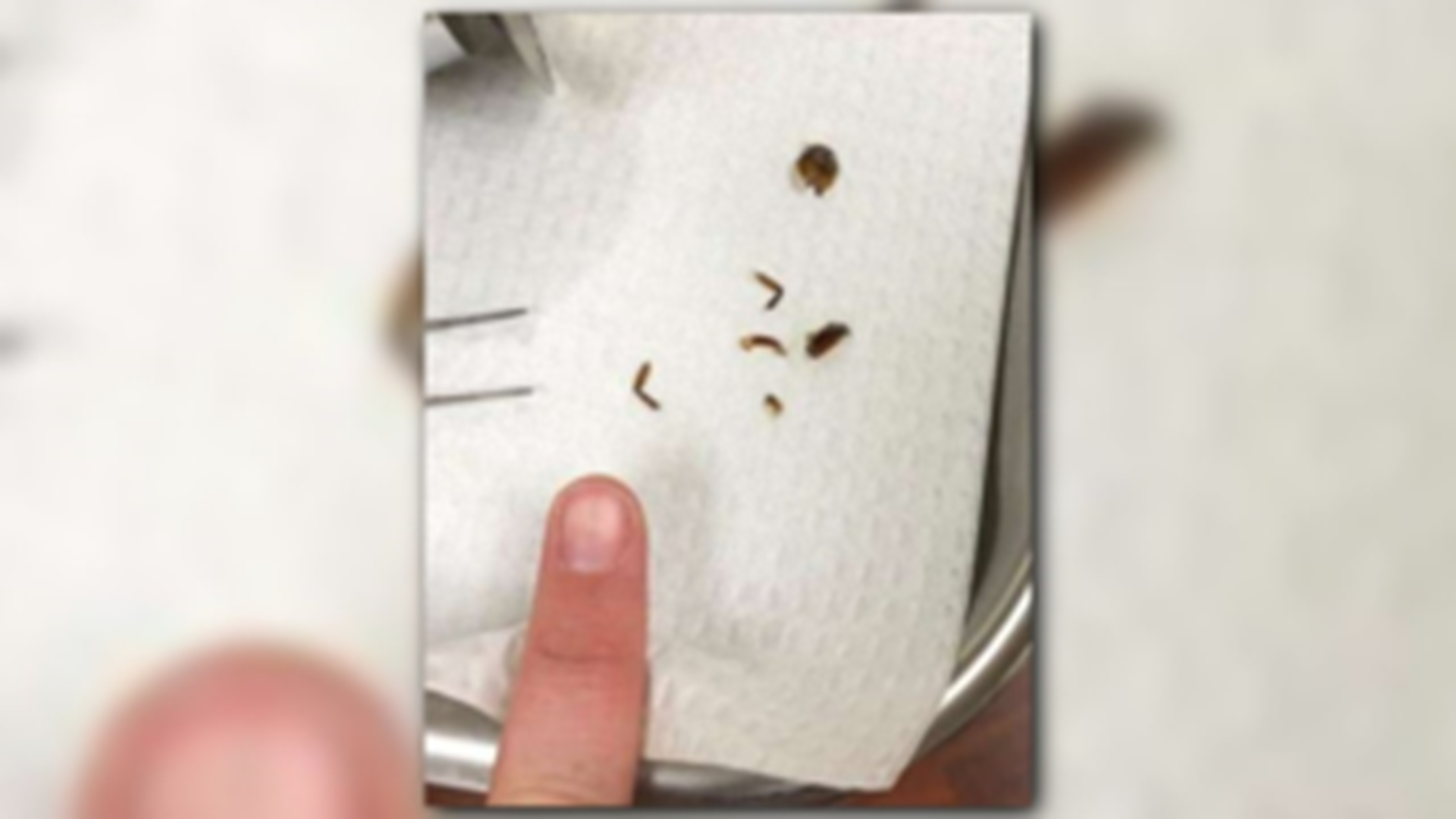 Florida woman's gruesome roach-in-ear tale goes viral | abc10.com