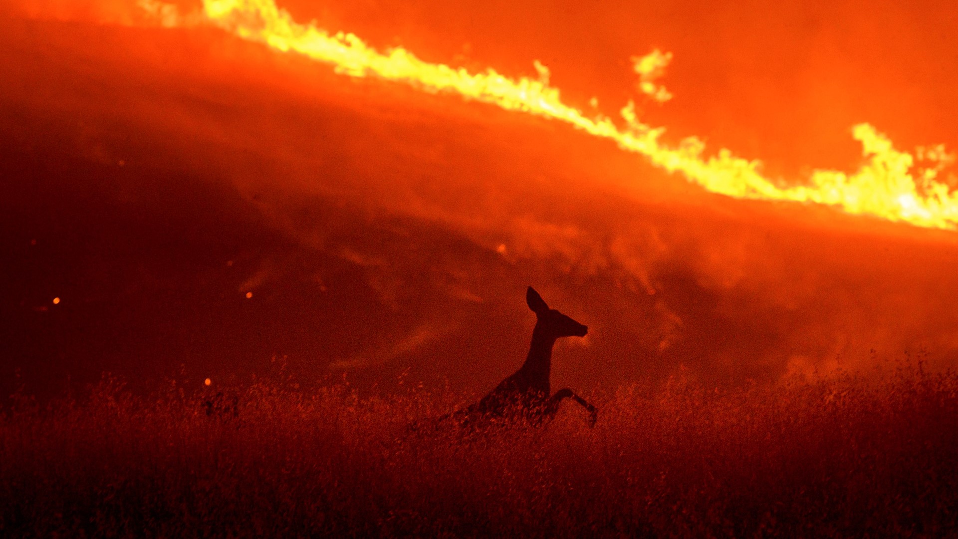 Quail Fire: Evacuation orders and maps | abc10.com