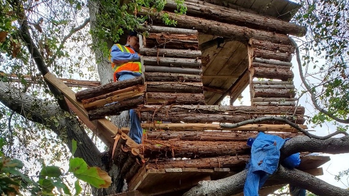 Burglary suspect found living in 'modern' treehouse | abc10.com