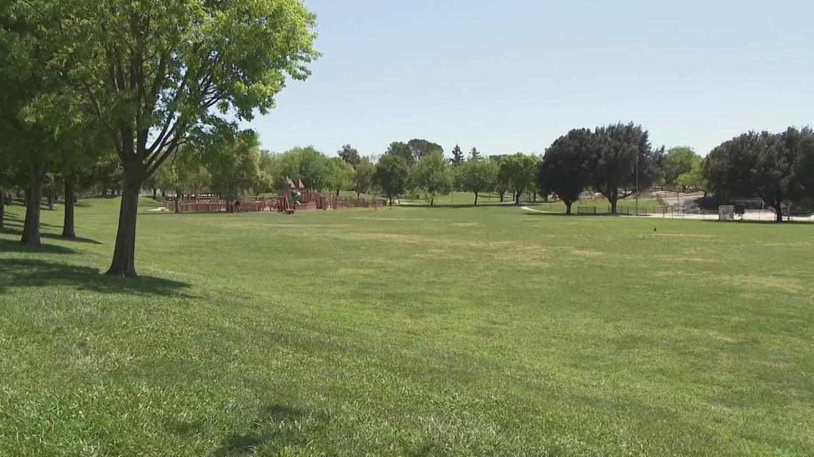 Davis Picnic Day shooting latest: Multiple shooters involved, police ...