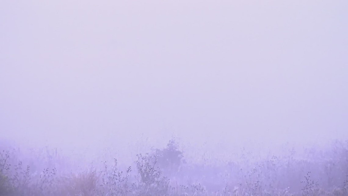 Tips for driving in fog: What lights should you use? | abc10.com