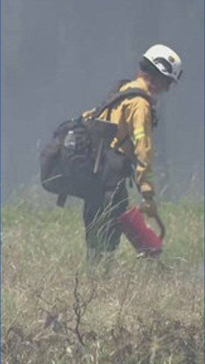 Placer County Marine Capt. John Sax, son of former Los Angeles Dodger ...