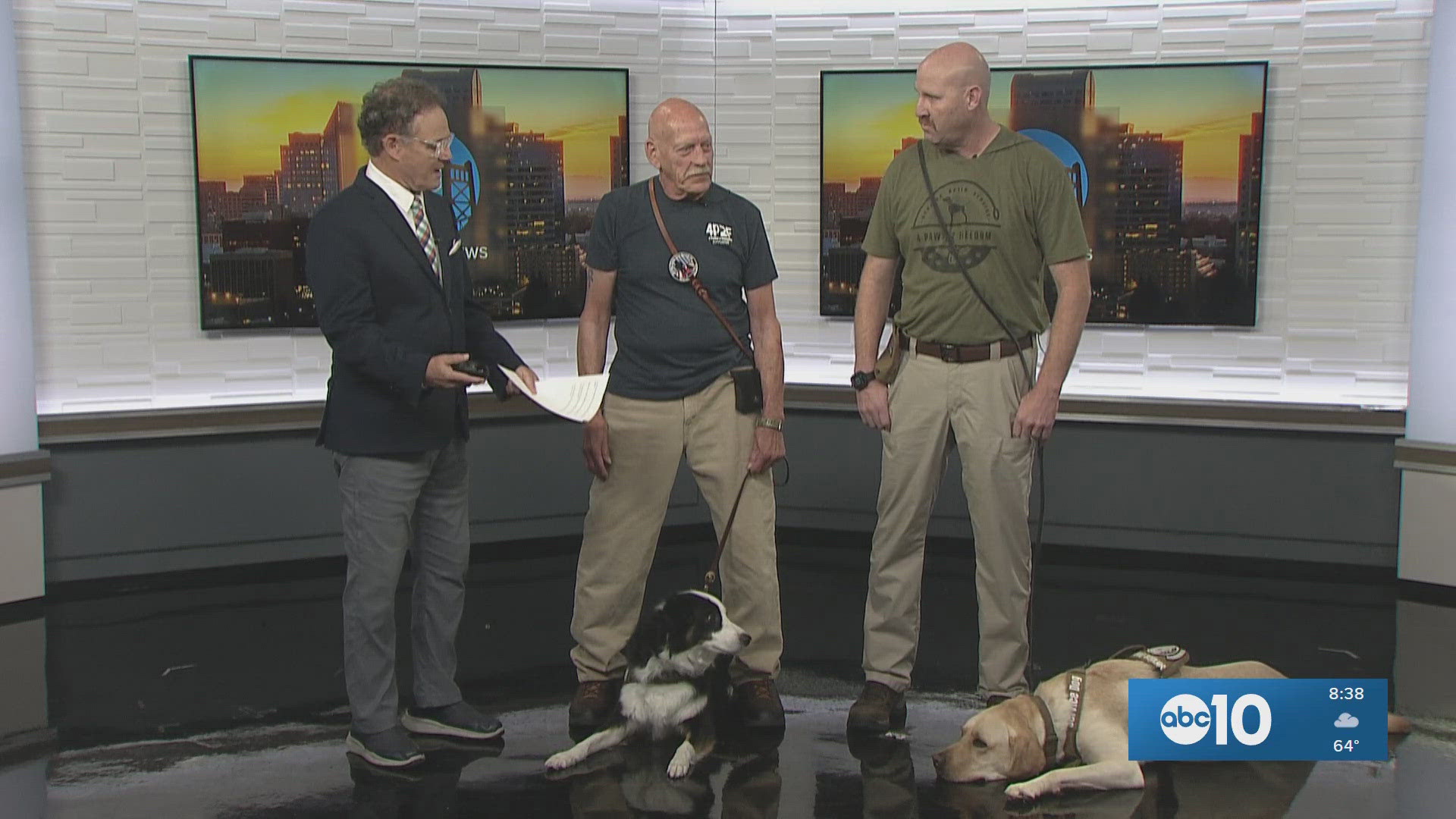 September is National Service Dog Month: Vital roles of service dogs ...