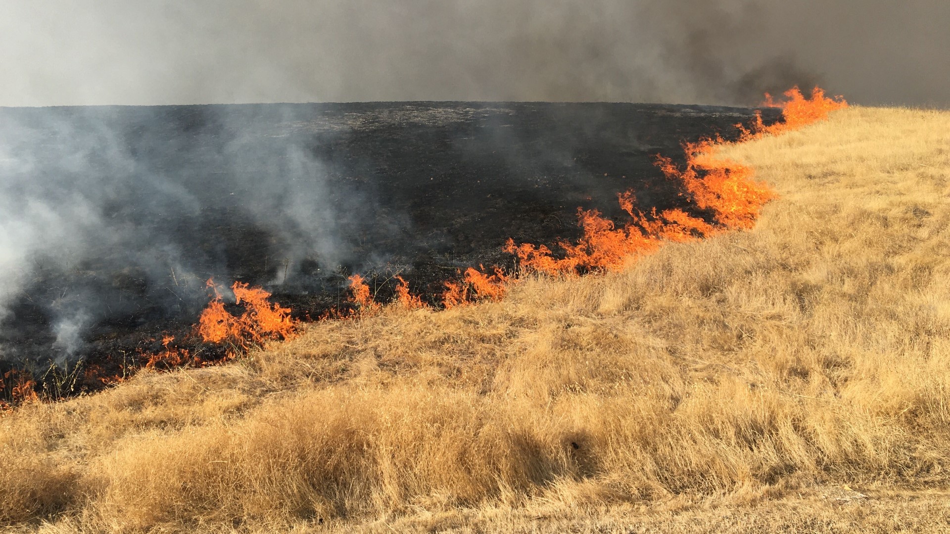 LNU Lightning Complex Fire | Sights & Sounds from the ground | abc10.com