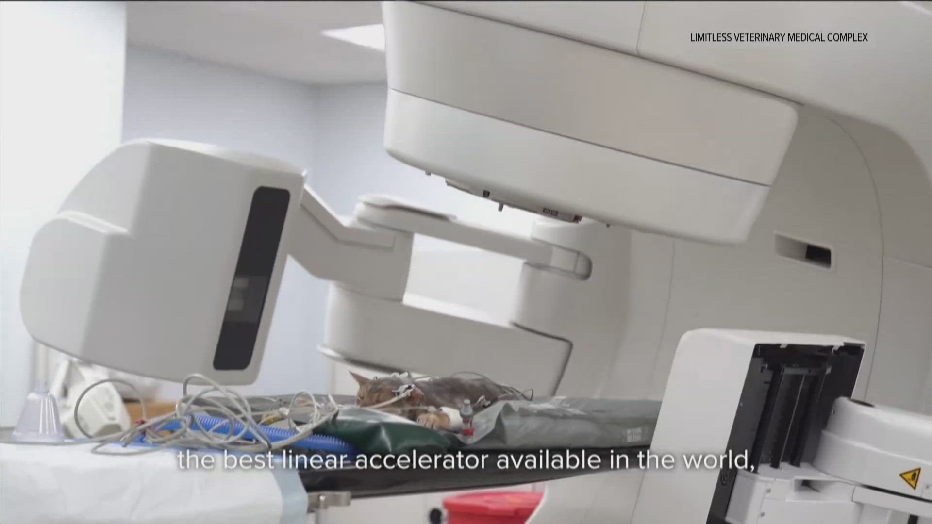 Nicki Minaj to pledge money for Trump Accounts as she appears at the ...