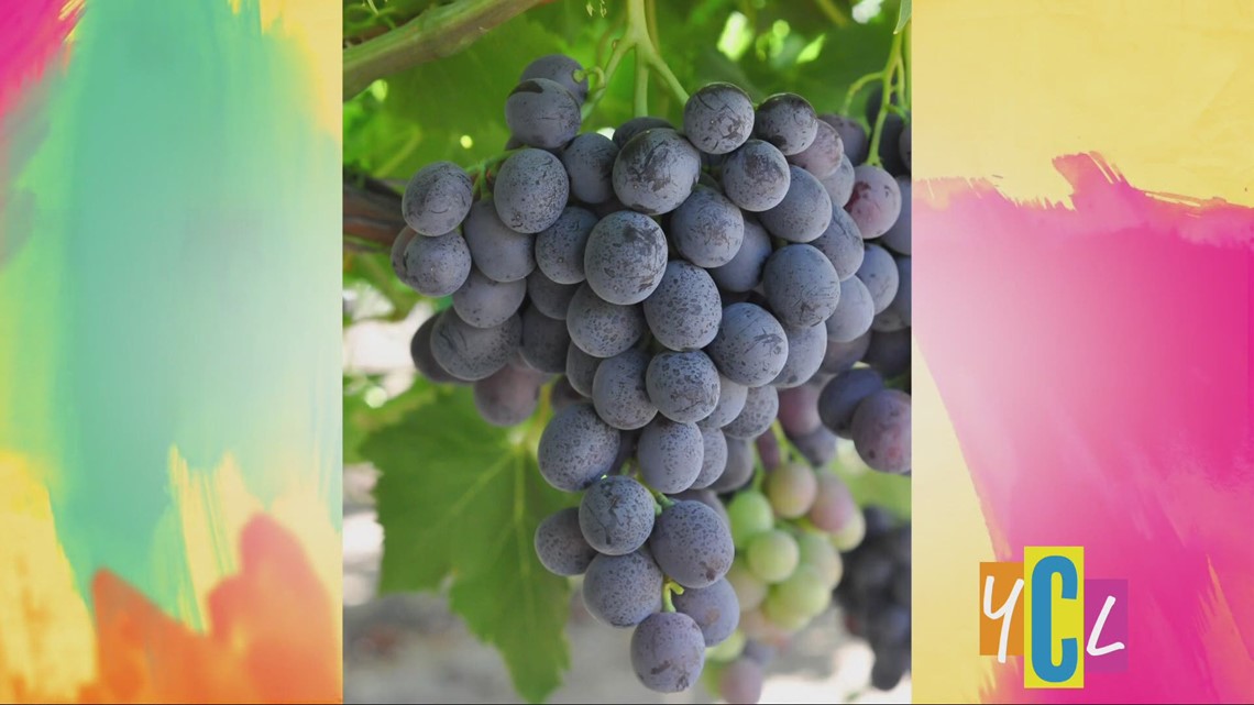 Naming New Grape Varieties | abc10.com