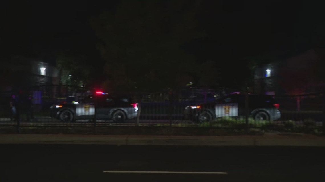 28 people arrested, 21 guns collected in Modesto gang sweep | abc10.com