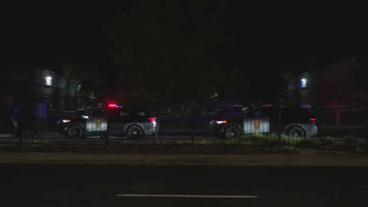 28 people arrested, 21 guns collected in Modesto gang sweep | abc10.com