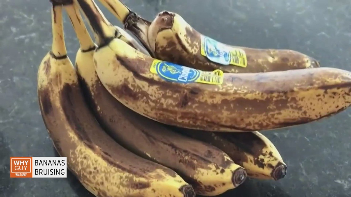 Why Guy: Why do bananas bruise so quickly? | abc10.com