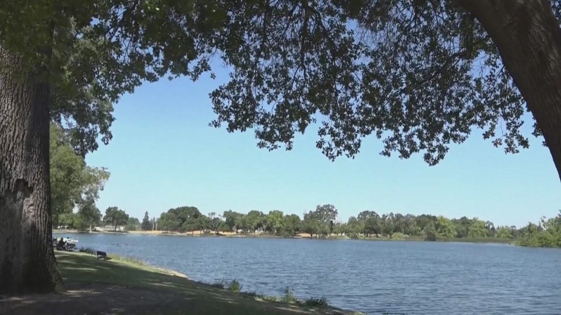 Officials test Lodi Lake area deer after reports of multiple deer ...