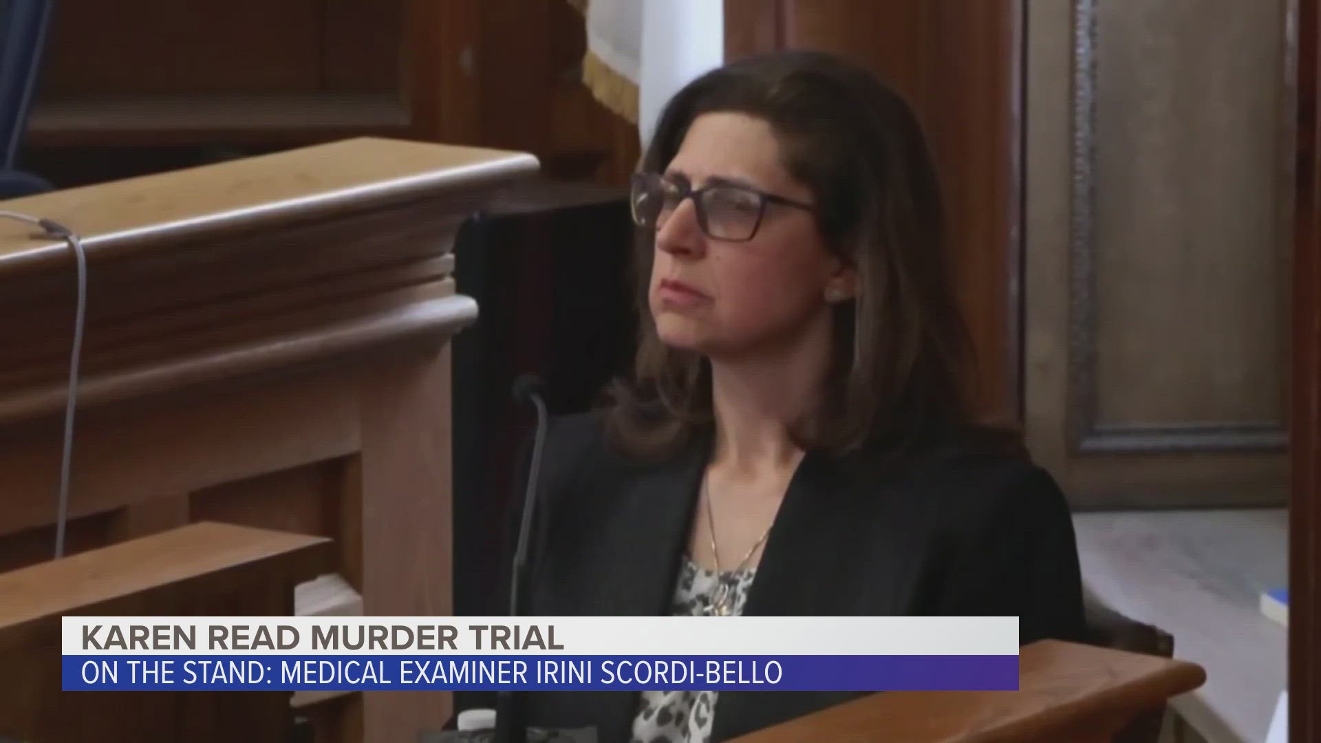 Karen Read Murder Trial: Irini Scordi-Bello testifies, Part 2, Day 16 ...