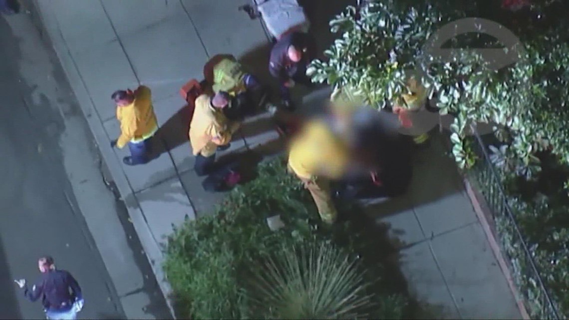 Man who shot Lady Gaga's dog walker gets 21 years in prison | Top 10 ...