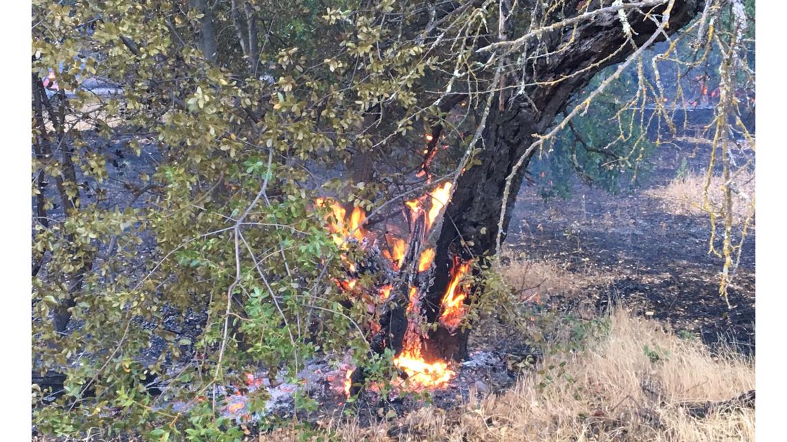 Maps and updates for Quail Fire near Winters and Vacaville | abc10.com