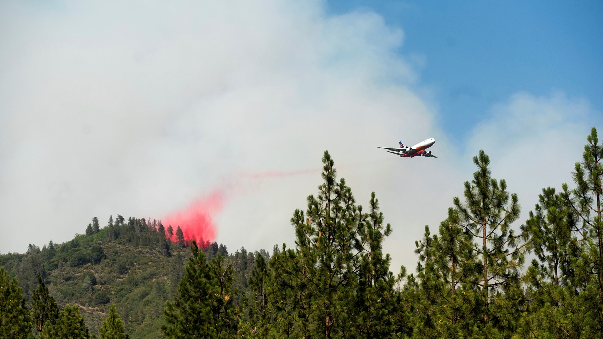Shasta County Salt Fire: maps, evacuations, updates | abc10.com