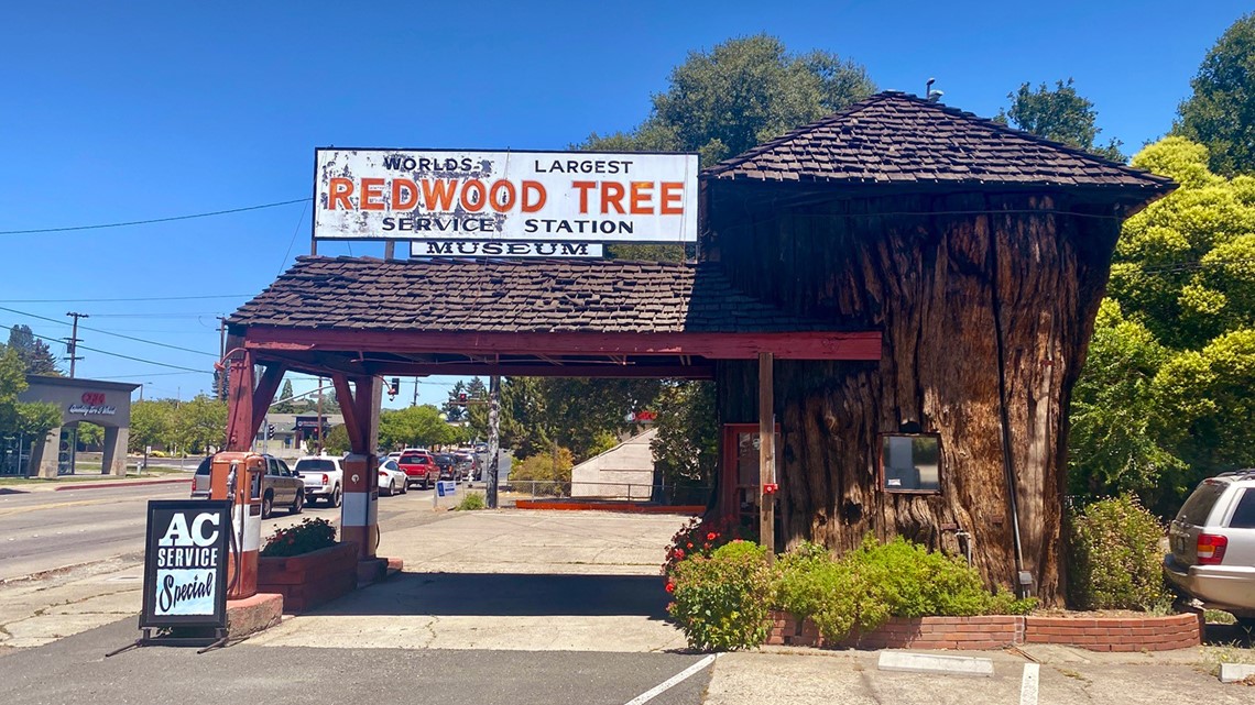 Why the Redwood Tree Service Station is an iconic pitstop | abc10.com
