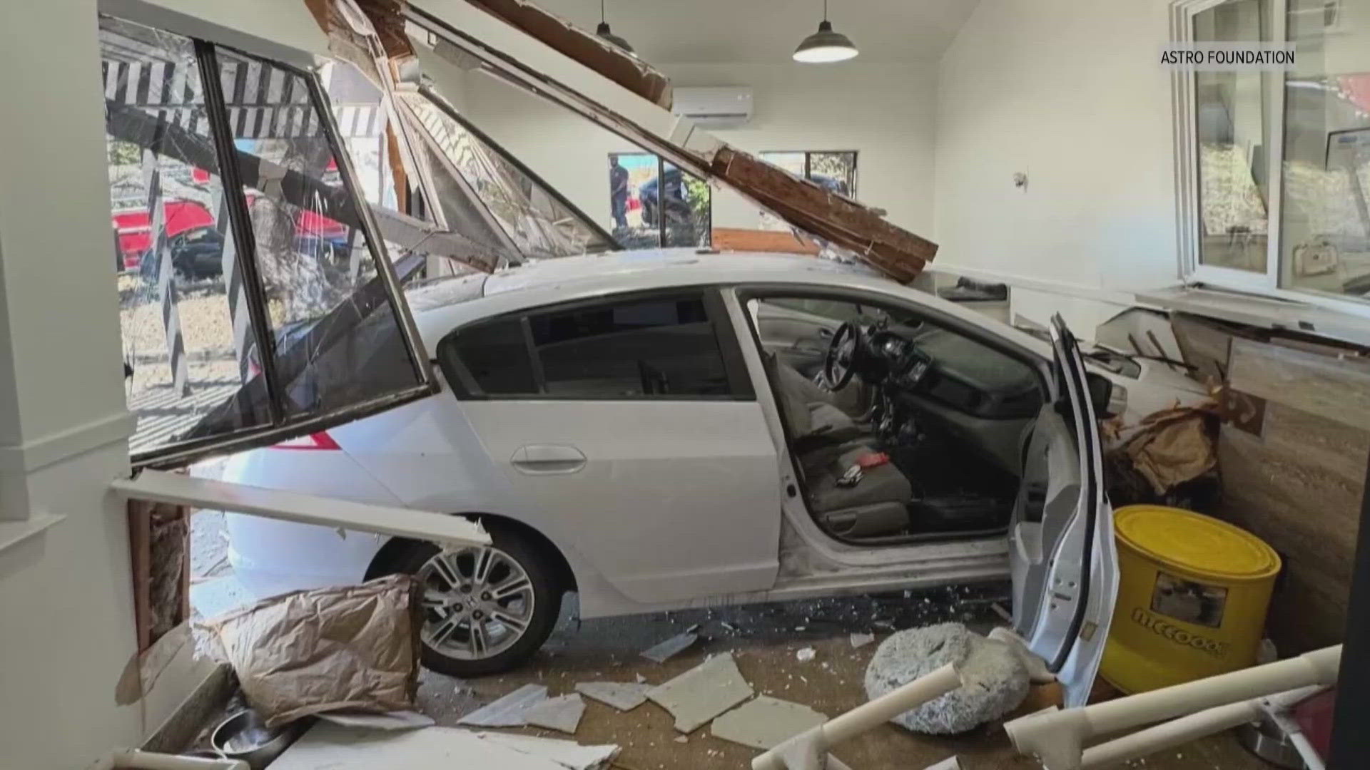 Four cats missing after car crashes into ASTRO Foundation in Oakdale ...