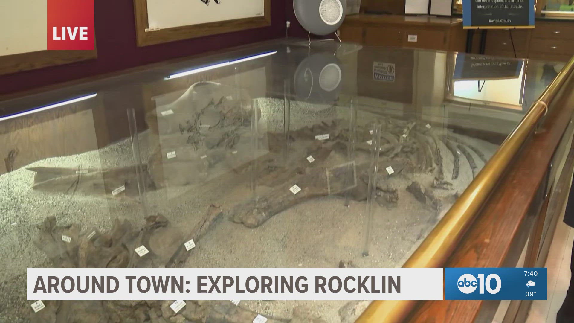 Michael '5000' Watts, Houston hip-hop icon, dies at 52 | abc10.com