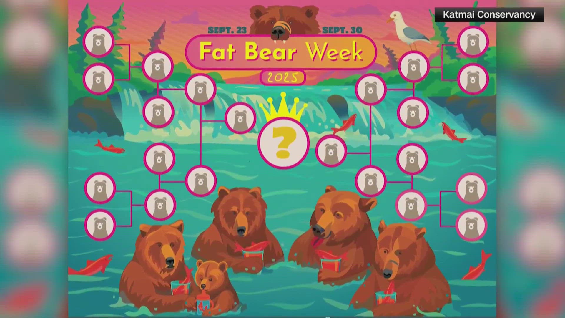 Fat Bear Week begins in Alaska | abc10.com