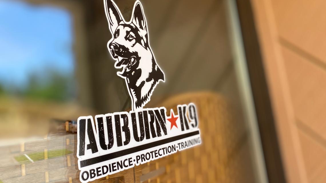 Investigation finds Auburn K9 facility abused, neglected dogs | abc10.com