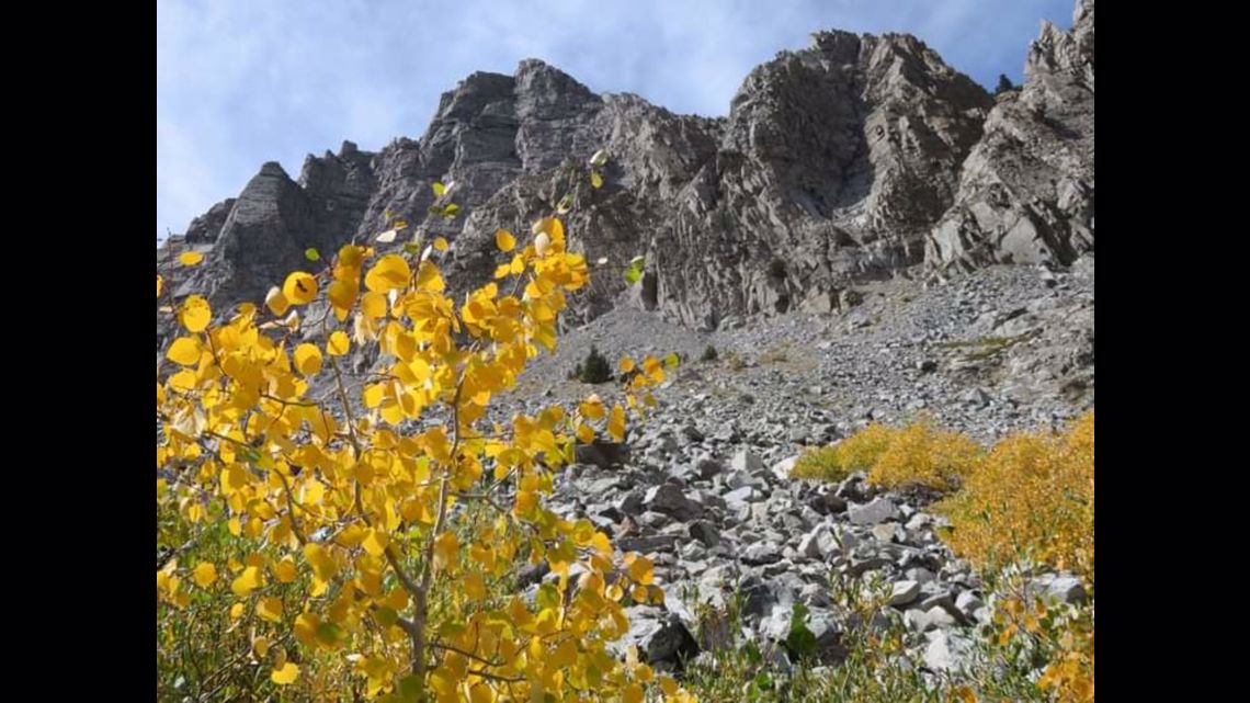 Science behind the lack of summer humidity in California | abc10.com