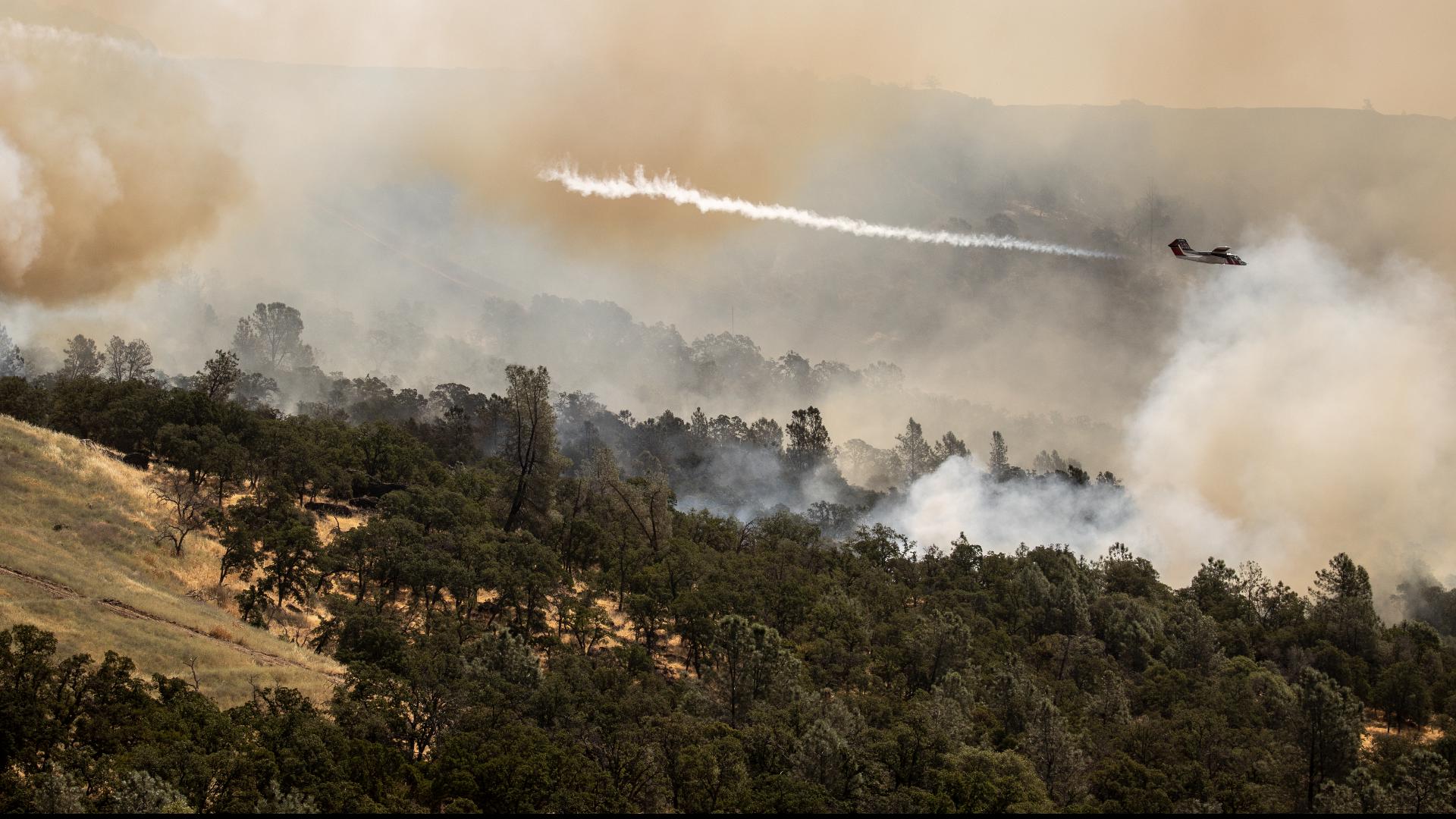 How CalFresh is reaching college students in Yolo County | abc10.com