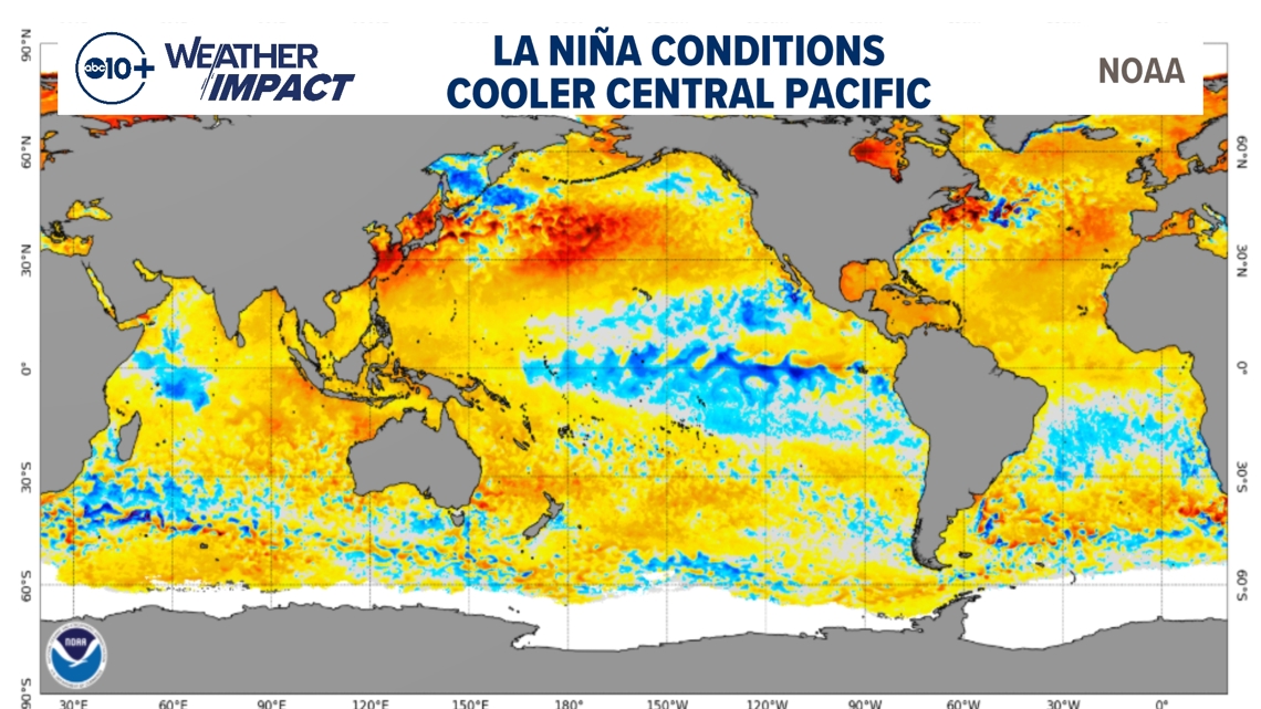 Radiation risk: More shrimp recalled for Cesium-137 contamination | abc10.com