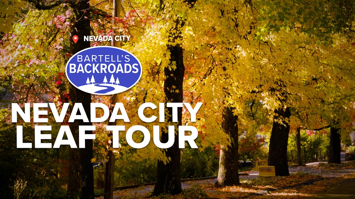 See an abundance of fall colors on the Nevada City Tree Tour | abc10.com