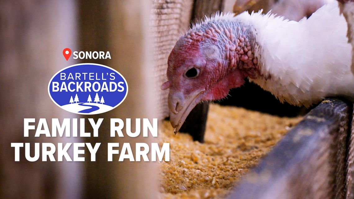 Diestel Family has one of oldest family-run turkey farms | abc10.com