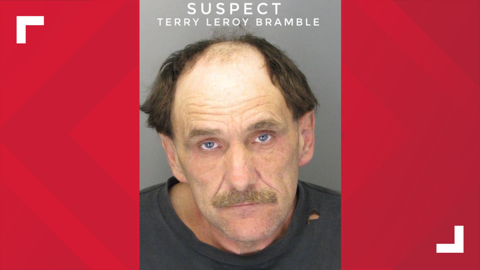 Terry Bramble: DNA from fingernails help solve cold case killing ...