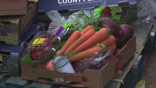 Brennan Marion introduced as Sacramento State head football coach ...