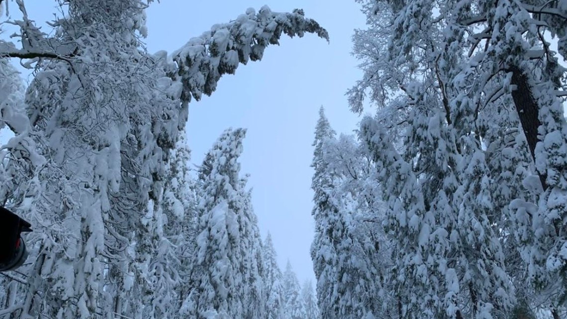 Northern California weather: Snow in Sacramento? It's complicated ...