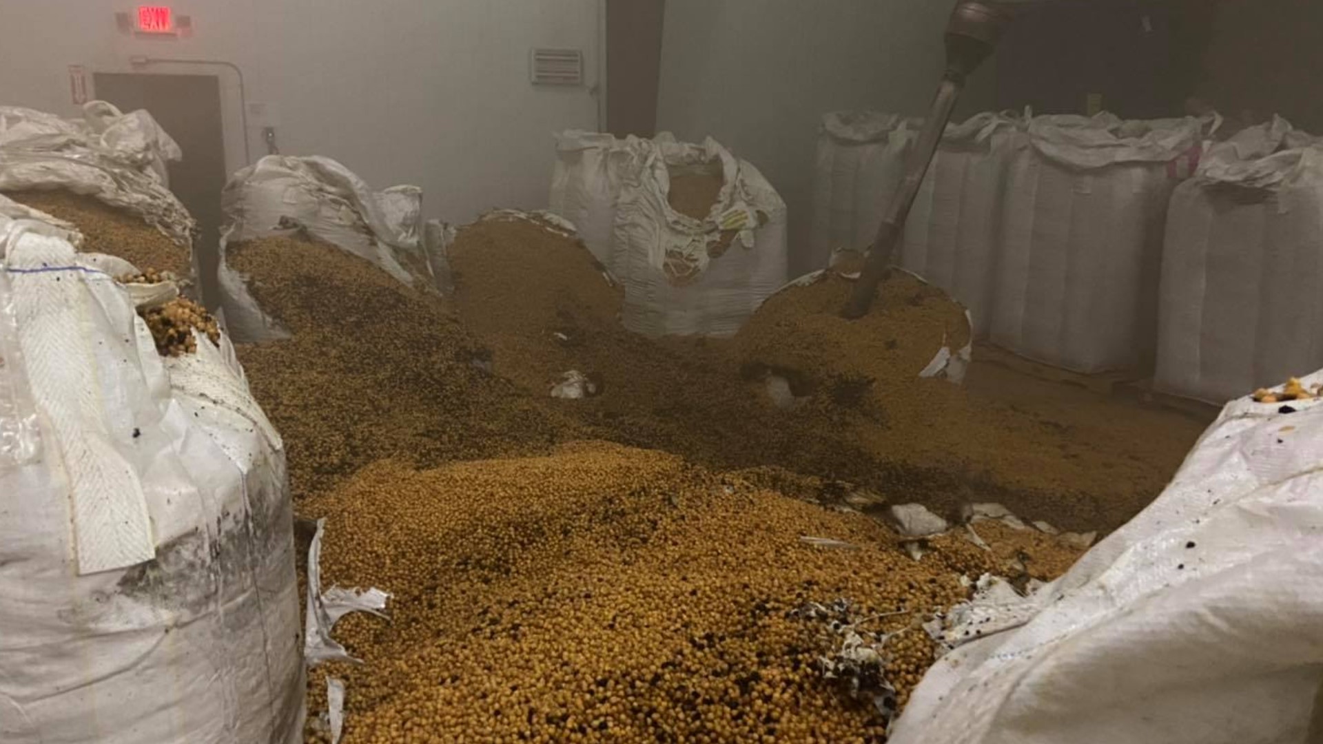 Modesto Fire: Chickpeas burned during Ceres warehouse fire | abc10.com