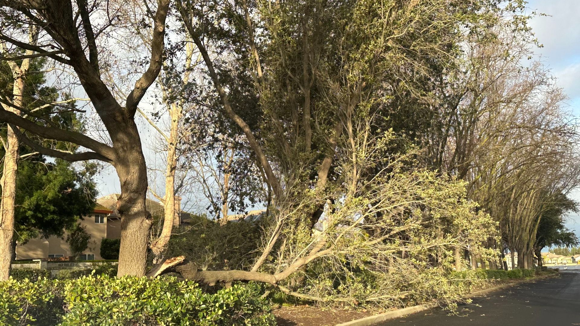 Northern California Storm Watch: High winds knock out power | abc10.com