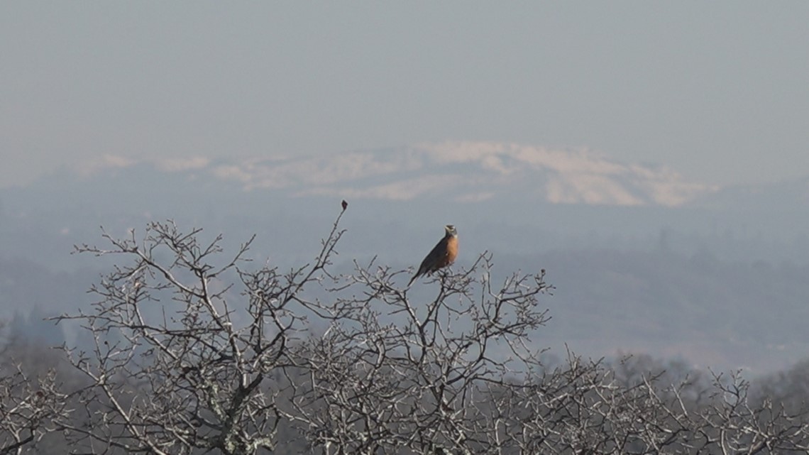 Rocklin’s William Jessup University purchases Clover Valley | abc10.com