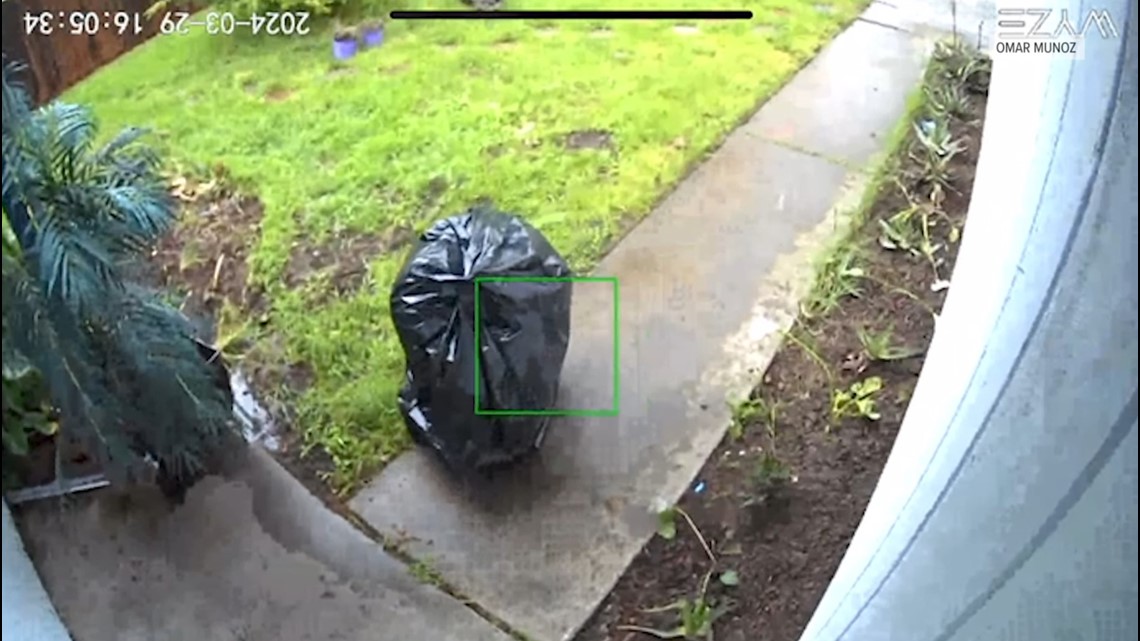 Watch | Person seen dressed as trash bag apparently taking a package ...