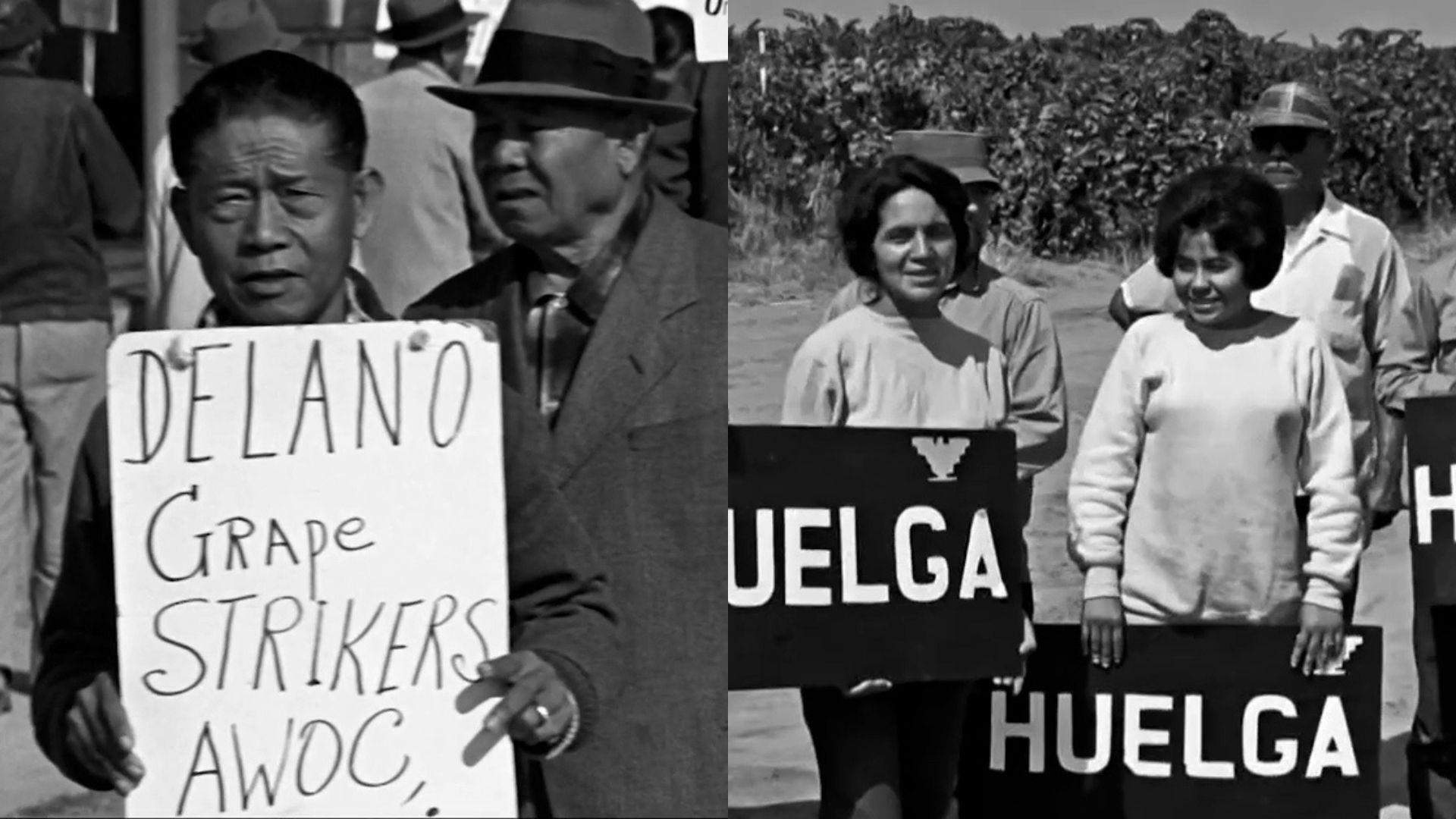 The Chicana O Movement Is Well Documented In Sacramento