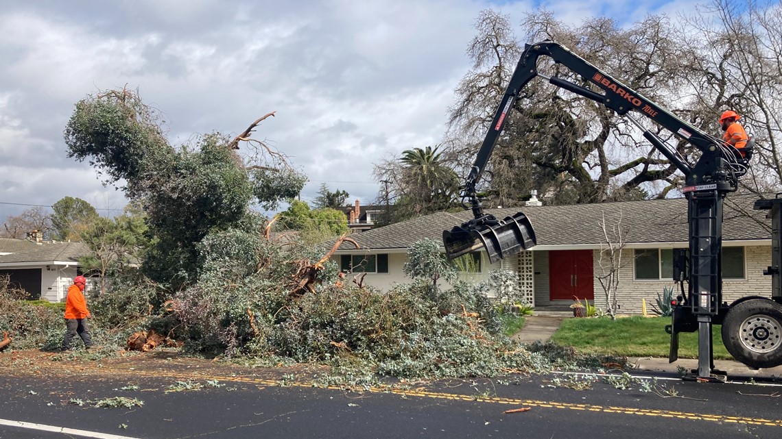Northern California storm damage: Winds down trees, cause damage ...
