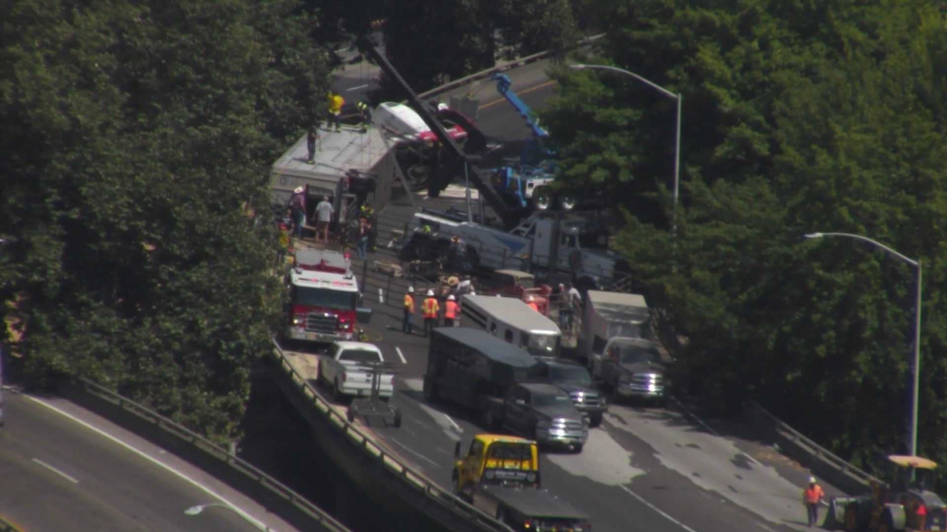 Actor Billy Dee Williams identifies as gender fluid | abc10.com