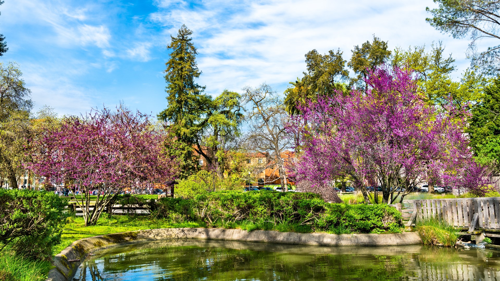 El Movimiento: A Brief History of the Chicano Movement | abc10.com