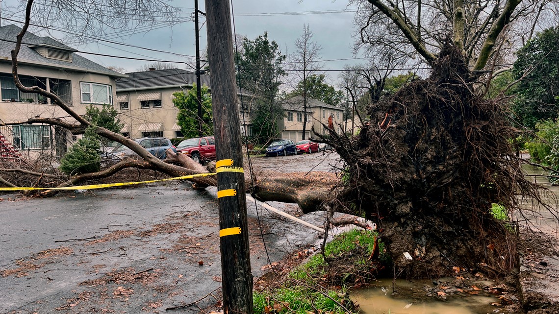 Iconic tree canopy turns destructive in Sacramento | Winter Storm ...