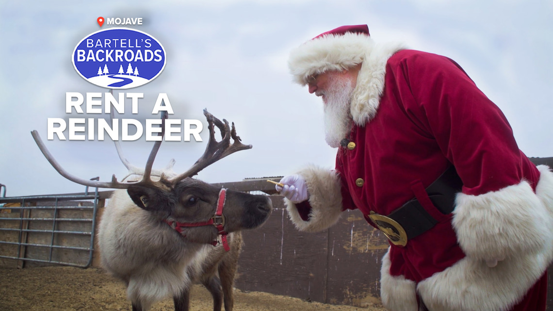 Rent a reindeer at Windswept Ranch in California | abc10.com