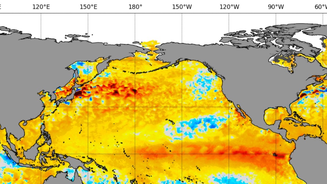 How CalFresh is reaching college students in Yolo County | abc10.com
